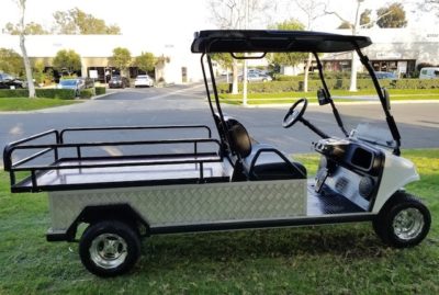 Turfman 1000 Plus - KallisteCar