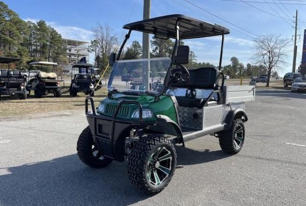 Turfman 800 plus - KallisteCar